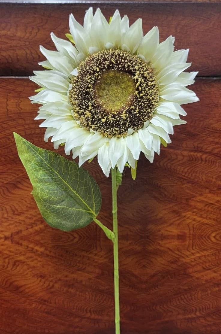 Cream Sunflower Stem – Evergreen Mercantile